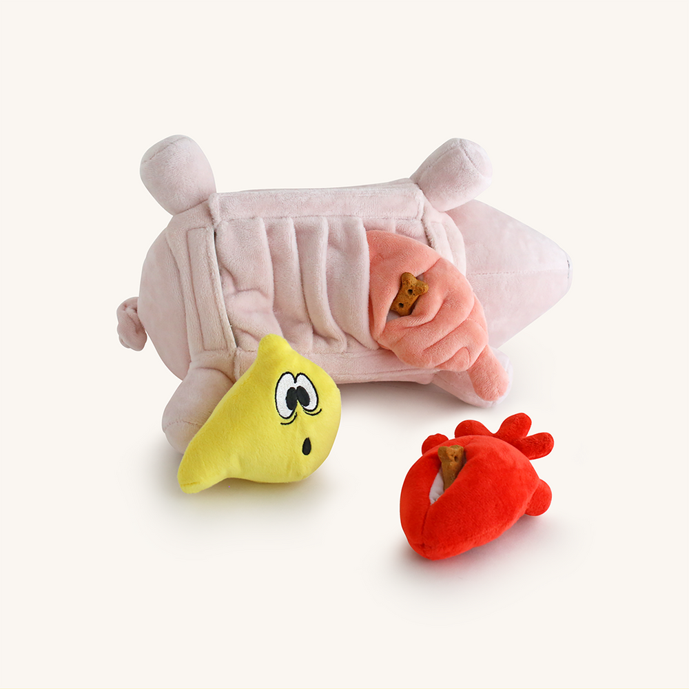 Piggle Canine Enrichment Kit Replacement Organs | The Goodest