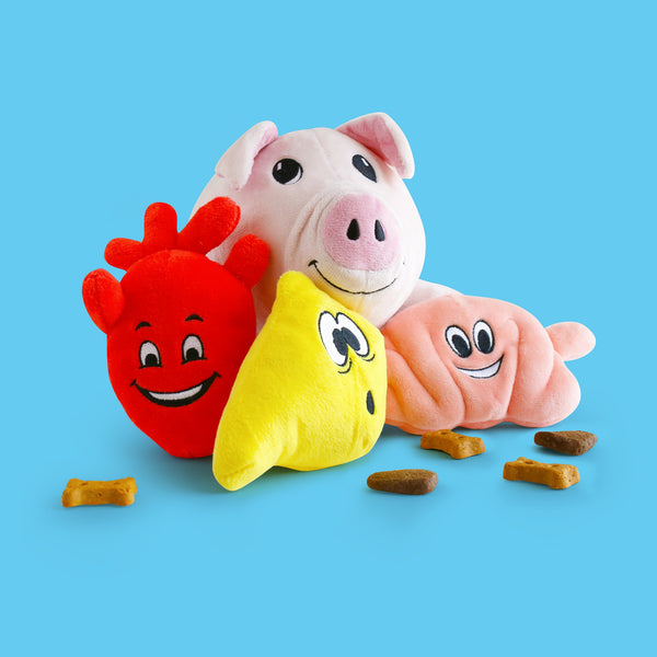 Piggle Enrichment Kit | Snuffle Activity for Dogs - The Goodest