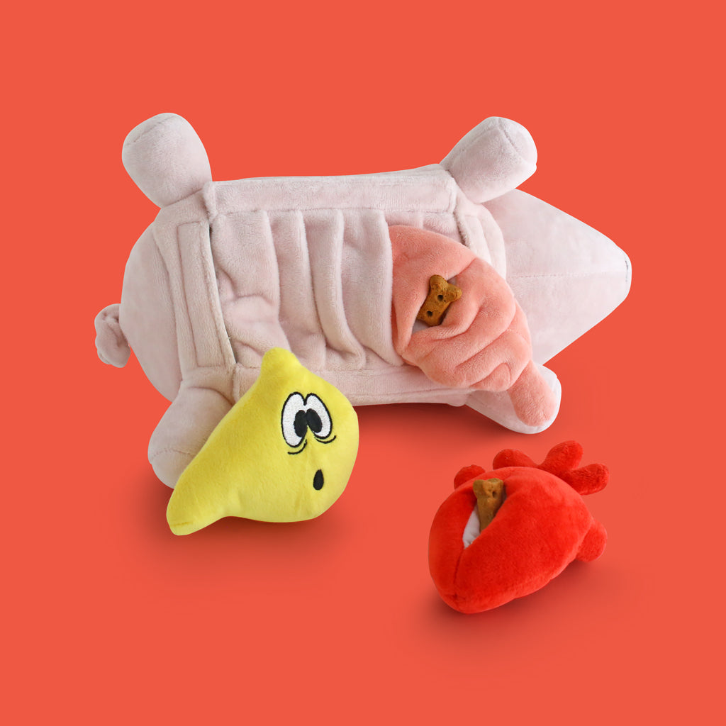 Piggle Enrichment Kit | Snuffle Activity for Dogs - The Goodest